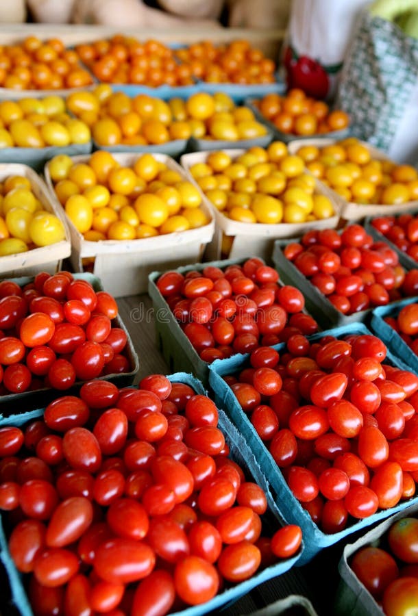 Fresh Cherry Tomatoes Vegetable from the Garden Organic Food Red Tomato ...