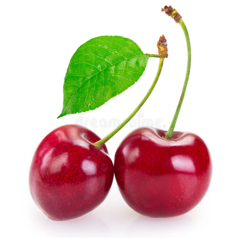 Fresh Cherry on White Background Stock Photo - Image of cherry, healthy ...
