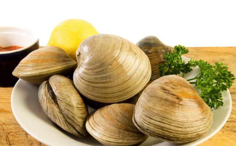 Fresh Cherrystone Clams Stock Photo - Image: 11012280