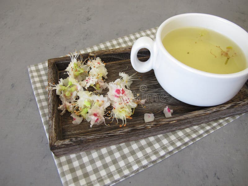 Fresh Chestnut Tea from Horse Chestnut Flowers Stock Photo - Image of ...