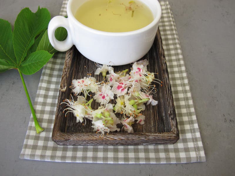 Fresh Chestnut Tea from Horse Chestnut Flowers Stock Image - Image of ...