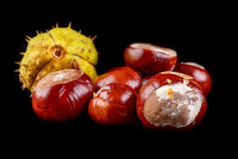 Fresh Chestnuts on a Dark Table. Chestnut Fruit from Central Europe ...