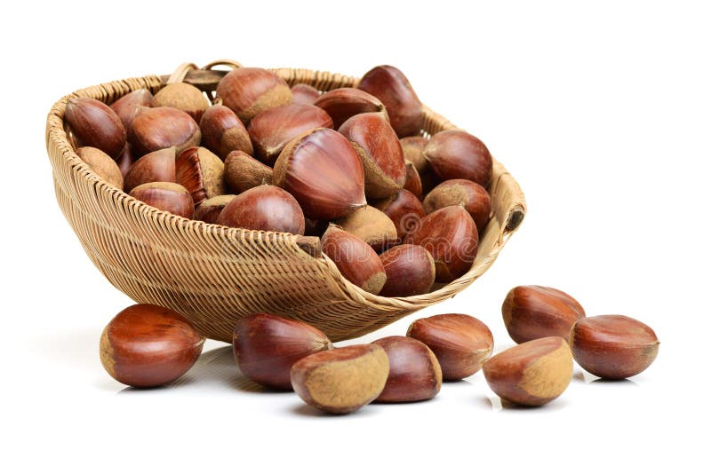 Chestnuts in Group, Brown Colorized Picture. Stock Image - Image of ...