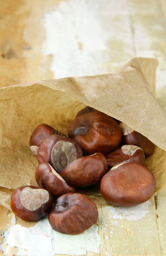 Fresh Chestnuts in Paper Bags Stock Image - Image of fabric, ripe: 21181887