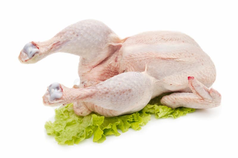 Fresh fish stock image. Image of meat, eating, nutrition - 18176609