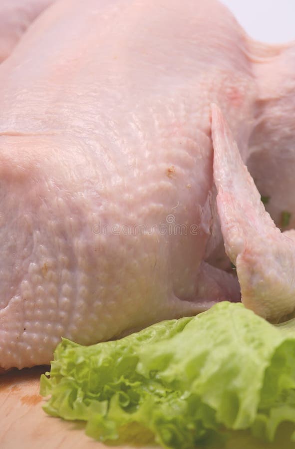 Fresh chicken stock photo. Image of fresh, salad, product - 9124468