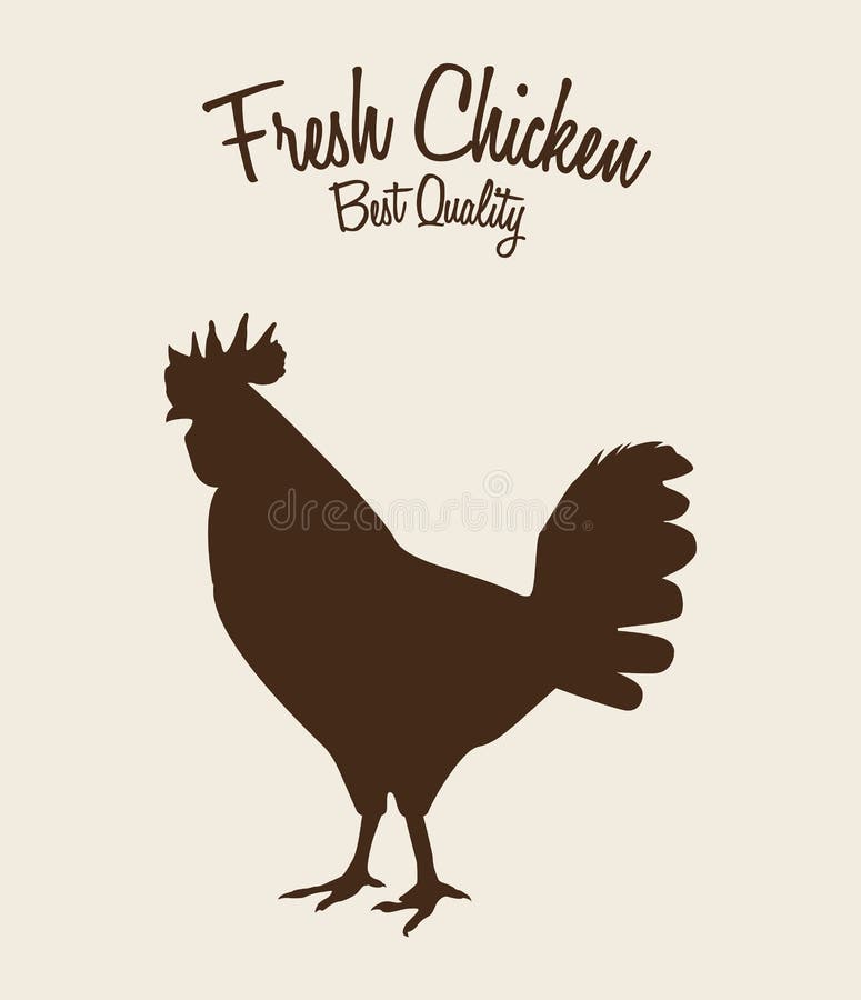 Fresh chicken stock vector. Illustration of bird, vector - 50794490