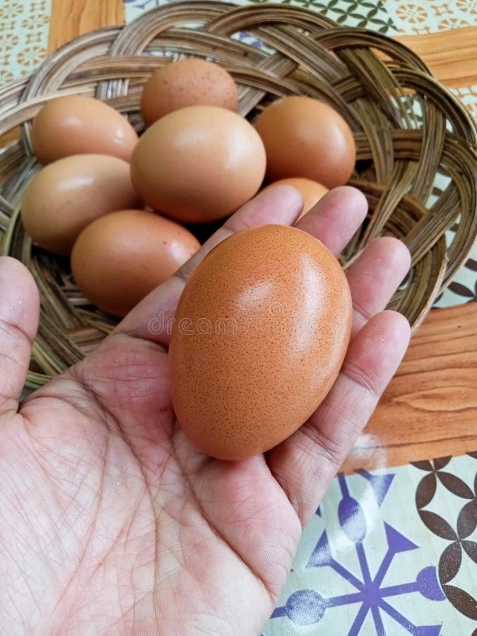 Fresh Chicken Eggs. Nutrient-rich Chicken Eggs. High Protein Food Stock ...