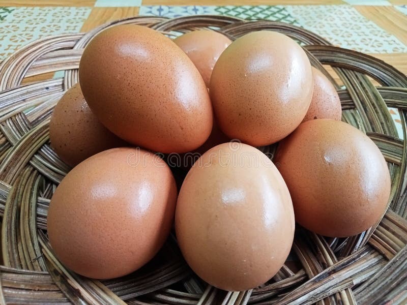 Fresh Chicken Eggs. Nutrient-rich Chicken Eggs. High Protein Food Stock ...