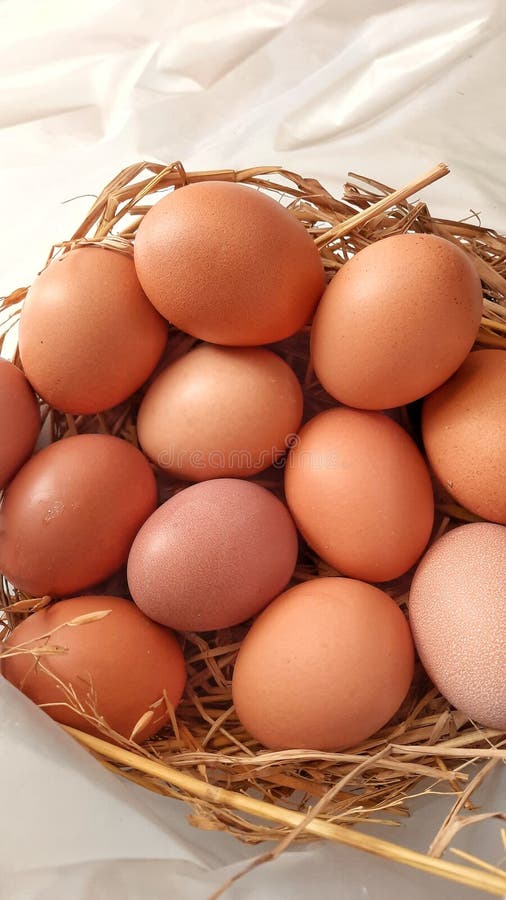 Fresh Chicken Eggs Placed in a Plastic Bag. Purchased from the Market ...