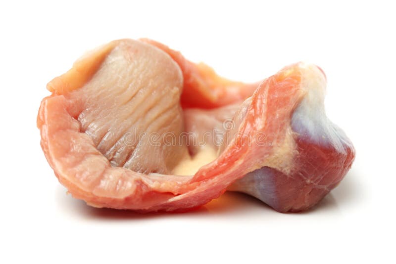 Chicken gizzard stock image. Image of background, dried - 106479921