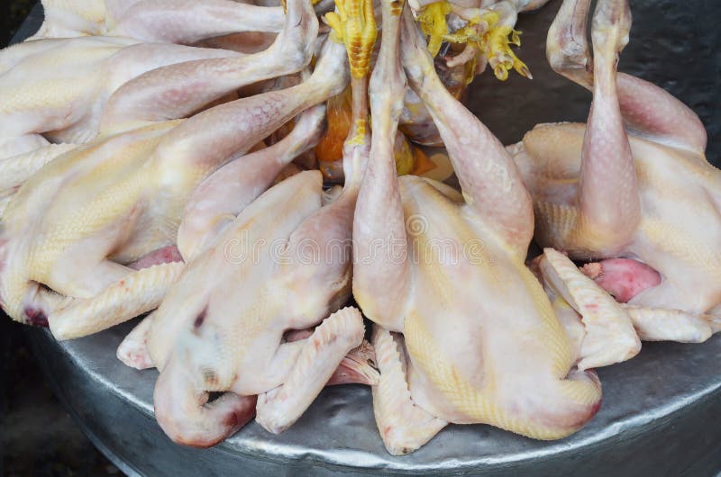 Fresh Chicken stock image. Image of bird, poultry, detail - 32474763