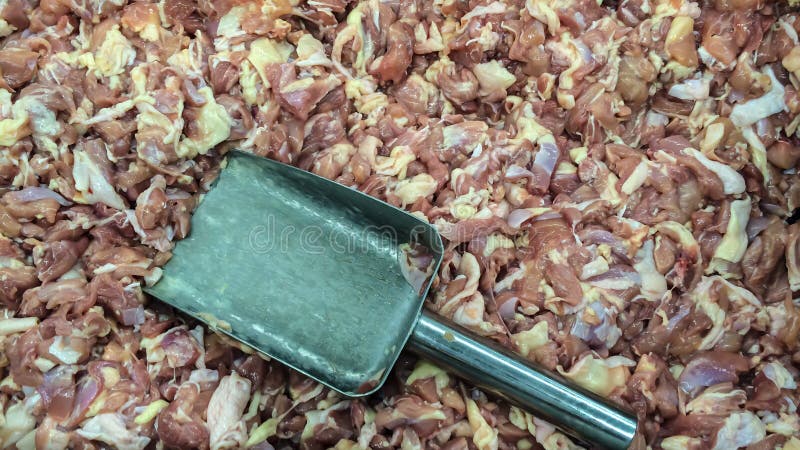 Fresh Chicken Meat on Backgrounds. Stock Image - Image of girl, meat ...