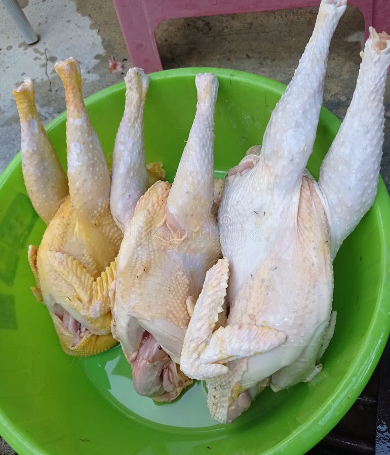 Fresh Chicken Meat Ready To Cook Stock Photo - Image of ready, cuisine ...