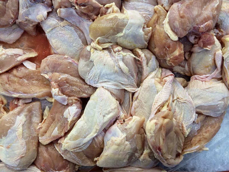 Fresh chicken stock image. Image of animal, healthy, food - 69157483