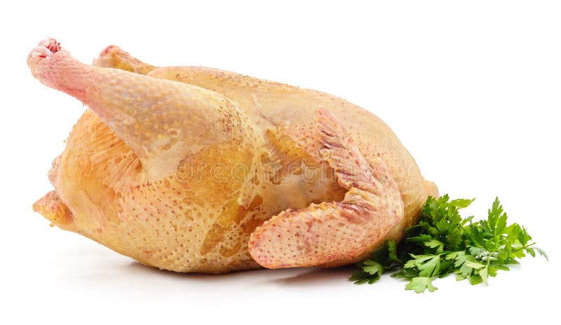 Fresh Raw Chicken and Organs Stock Image - Image of fresh, isolated ...