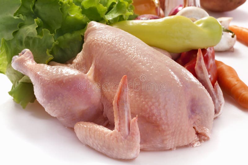 Fresh chicken stock image. Image of food, kitchen, chicken - 33217223