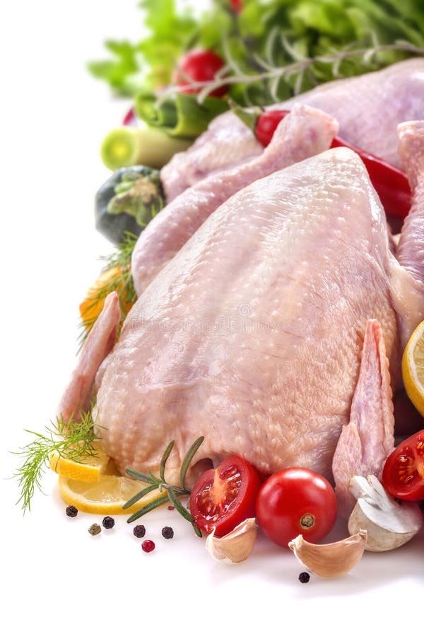 Fresh chicken stock photo. Image of eating, drumstick - 34619794