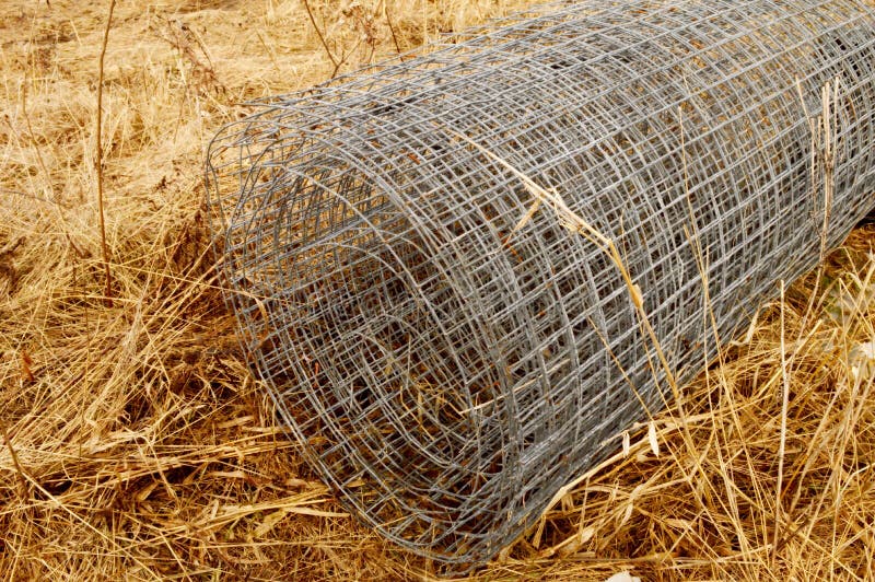 Fresh Chicken Wire stock image. Image of round, metallic - 113897623