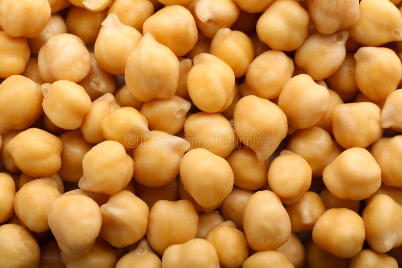 Fresh chickpeas, closeup stock photo. Image of seed - 151326588