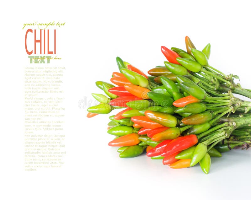 Fresh chili stock image. Image of bouquet, copyspace - 22069193