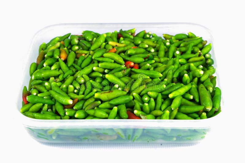 Fresh chili stock image. Image of delicious, green, garnish - 24396603