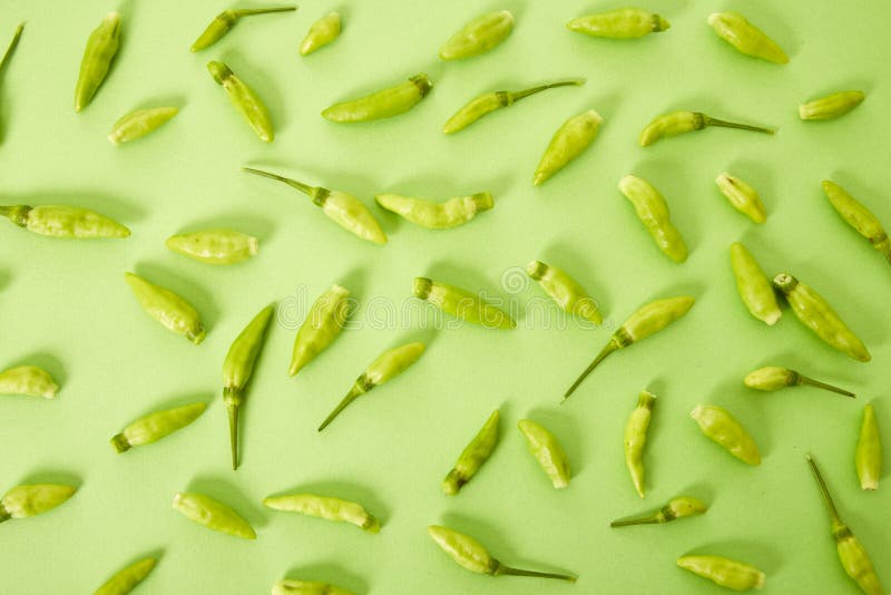 Fresh chili stock photo. Image of chili, pepper, hatch - 75384162
