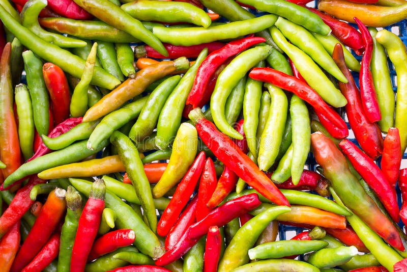 Fresh Chili Was Broken Stalk on Basket Fresh Market Stock Photo - Image ...