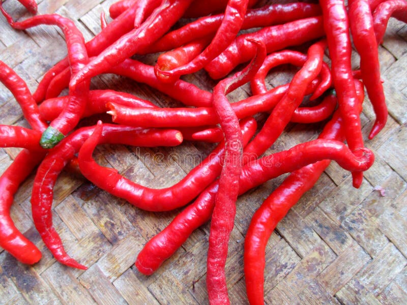 Fresh chilies stock image. Image of fruit, food, salad - 268068385