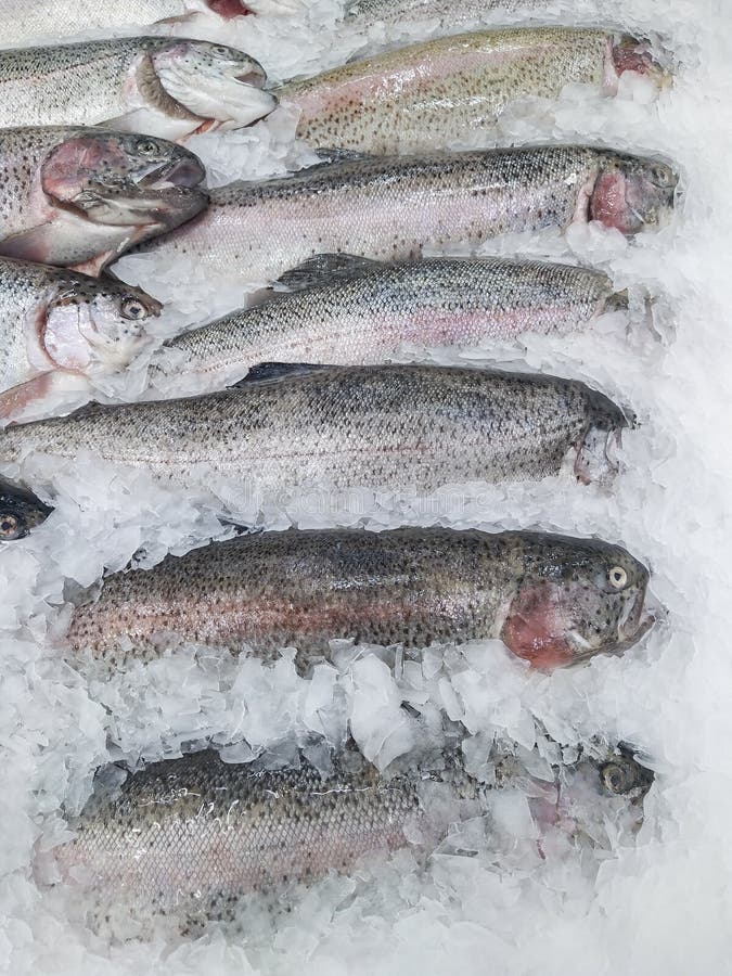 Fresh Chilled Fish Lying on the Ice. Fresh Fish in the Store Limited ...