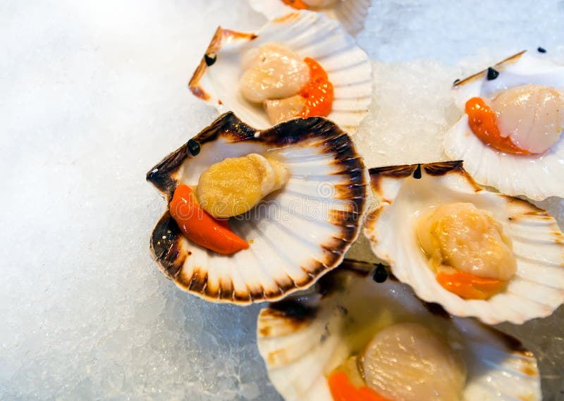 Fresh chilled shellfish stock photo. Image of mackerel - 183407960