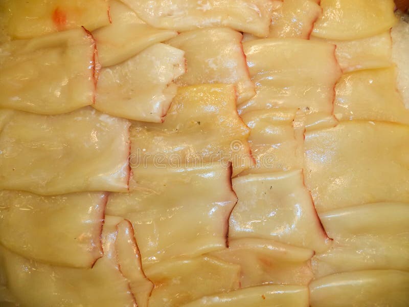 Fresh chilled squid fillet stock photo. Image of delicious - 141296242