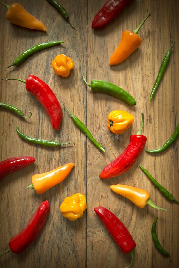 Fresh Chilli Pepper Selection Stock Photo - Image of scotch, chili ...