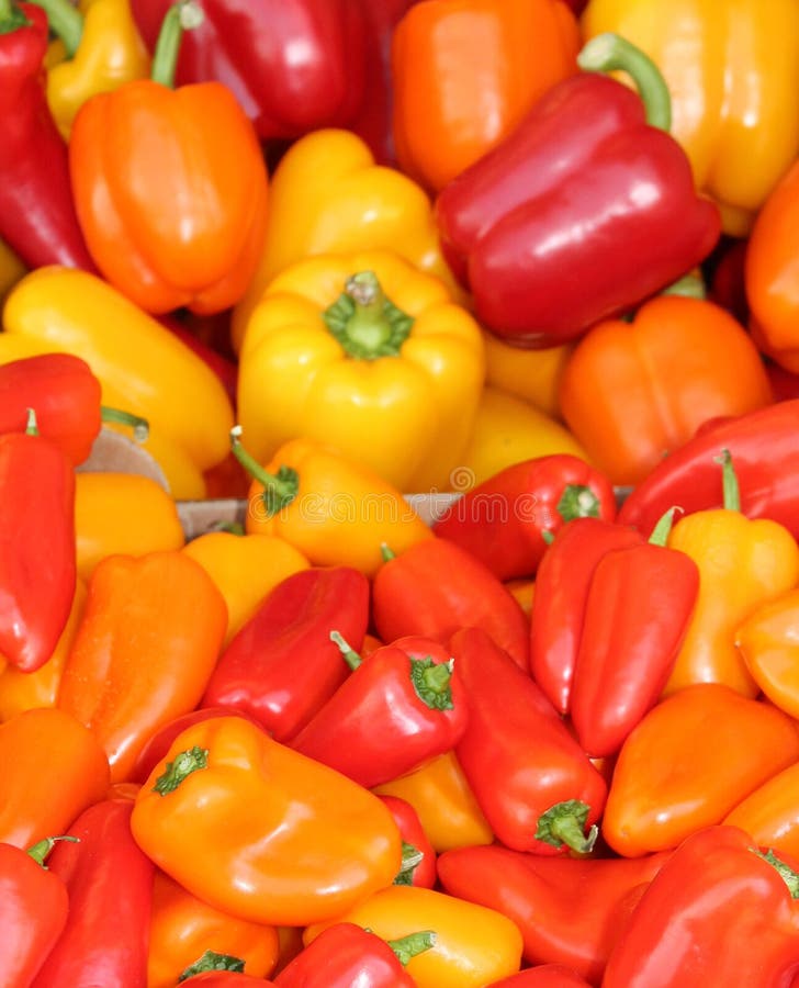 Fresh Chilli Peppers. stock photo. Image of colourful - 58533420