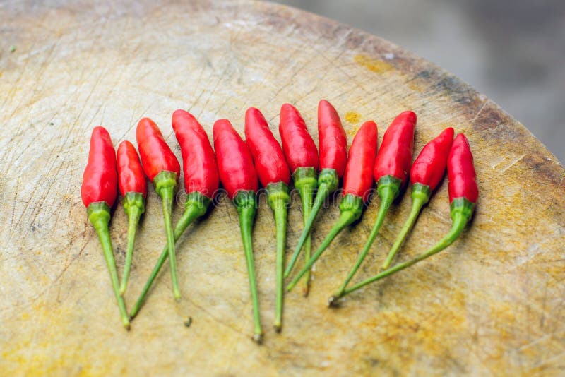 Fresh chilli stock image. Image of food, mixed, cooking - 93039855