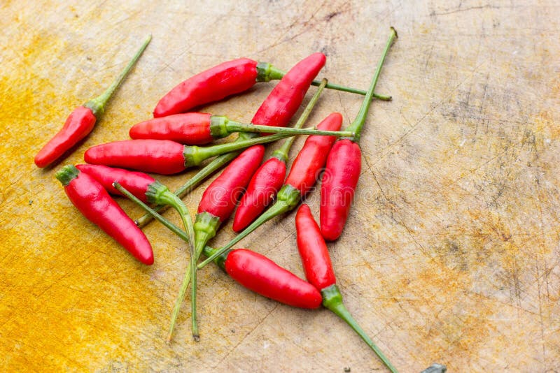 Fresh chilli stock photo. Image of brown, ingredient - 93040110