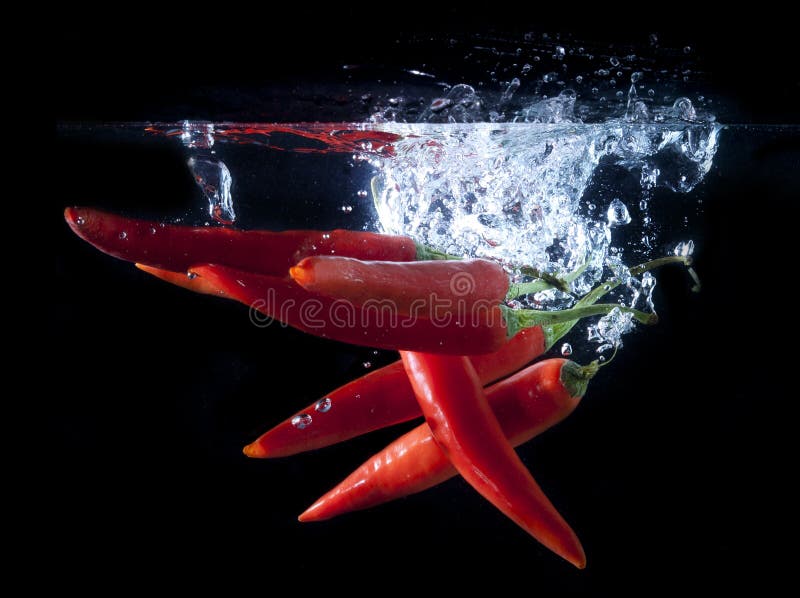 Fresh chilli splash stock photo. Image of cook, clear - 22837332