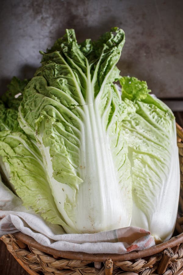 Fresh chinese cabbage stock image. Image of freshness - 67133347