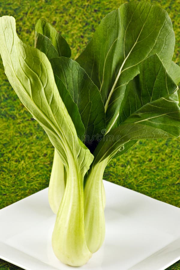 Fresh Chinese cabbage stock image. Image of background - 35579977
