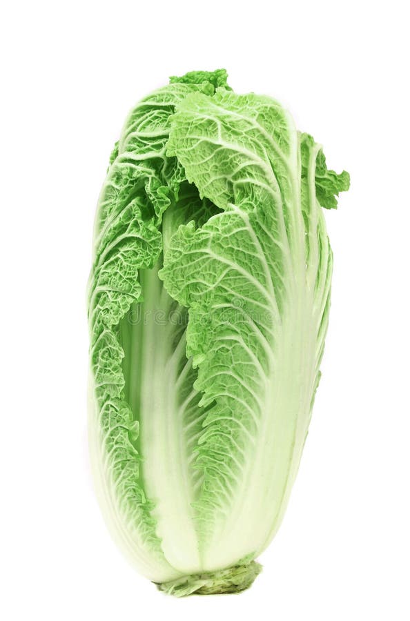 Fresh chinese cabbage stock image. Image of isolated - 35893149