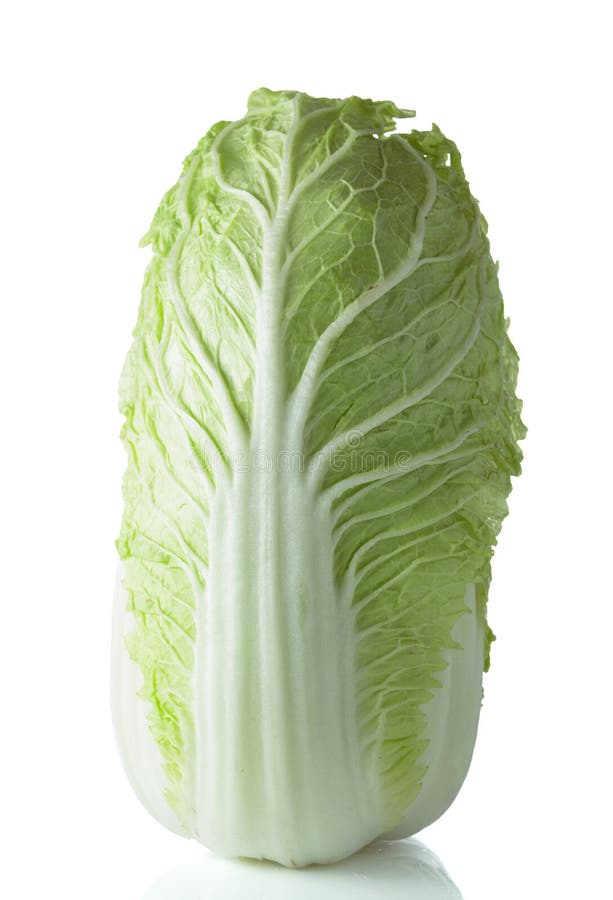Fresh Chinese cabbage stock photo. Image of cabbage, plate - 35580060