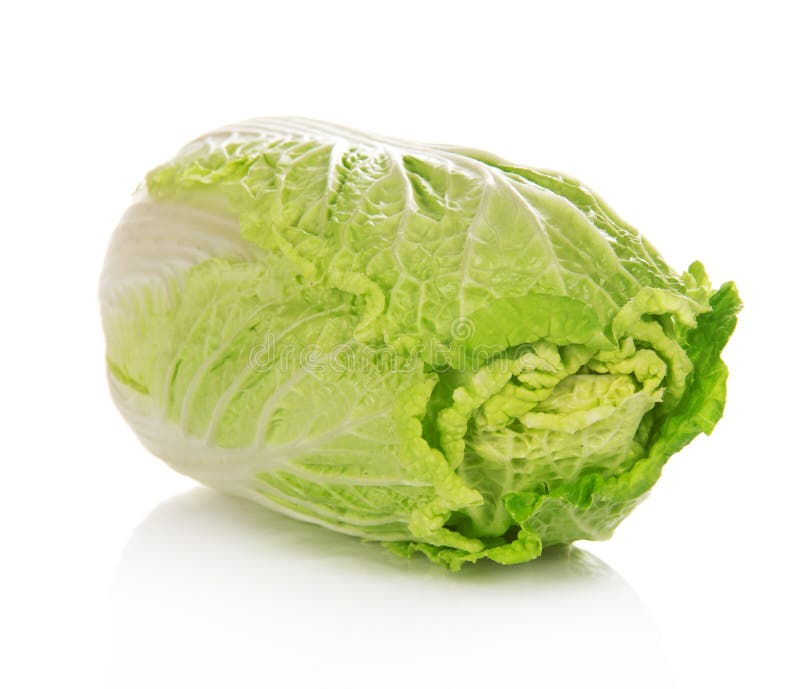 Fresh chinese cabbage stock photo. Image of healthy, meal - 35597064