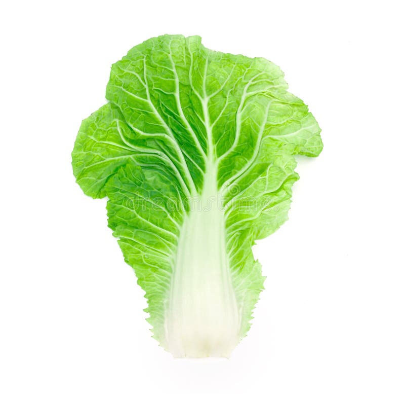 Fresh Chinese Cabbage Leaf On A White Background Stock Image - Image of ...