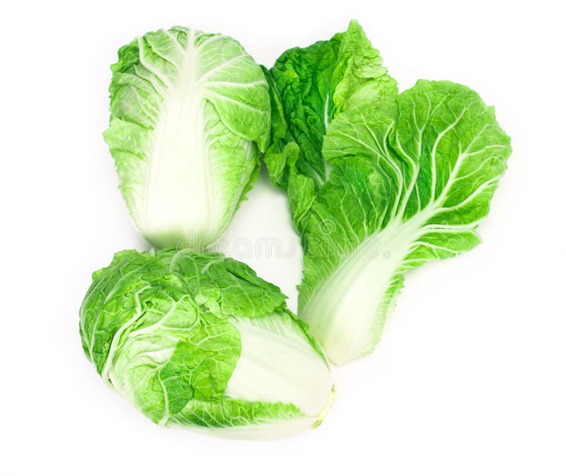 Fresh Chinese Cabbage on a White Background Stock Photo - Image of ...