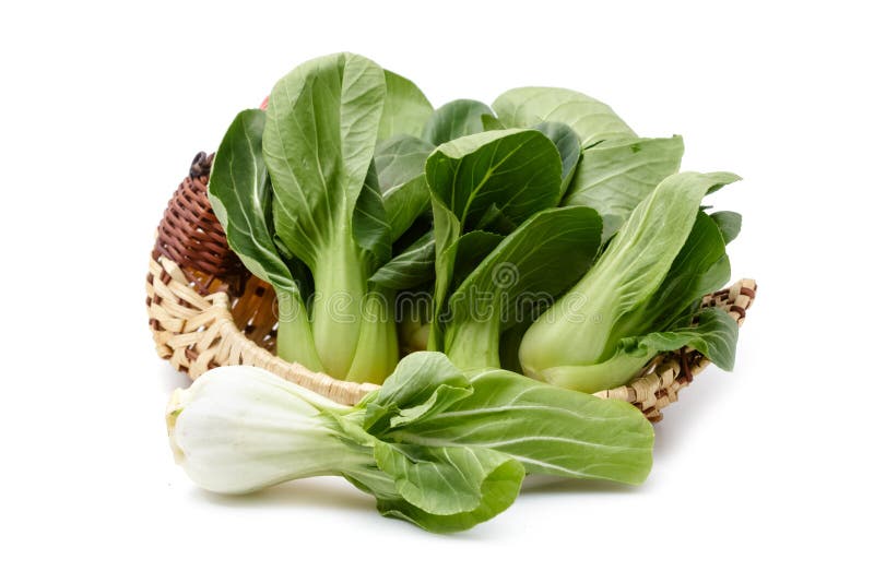 Fresh Chinese Cabbage on White Stock Photo - Image of chinese, fresh ...
