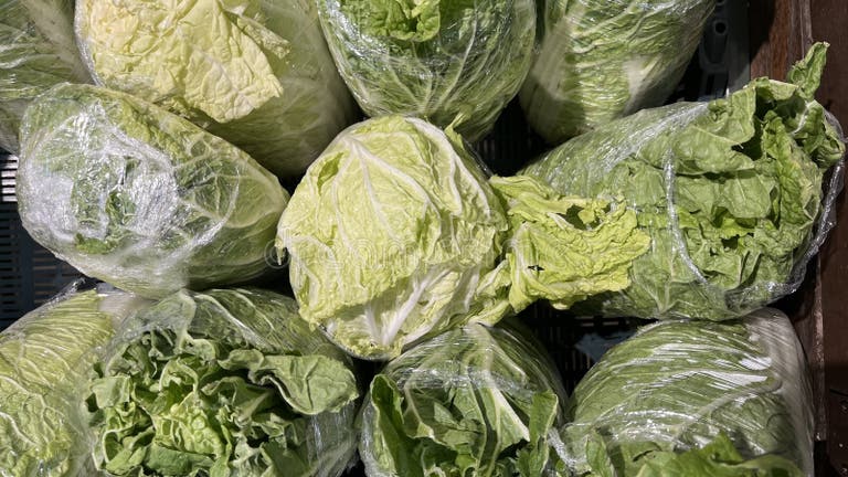 Fresh Chinese Cabbage Wrapped with Plastic Stock Image - Image of ...