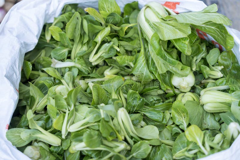 Fresh Chinese Green Cabbage Pak Choi in Bag Stock Photo - Image of ...