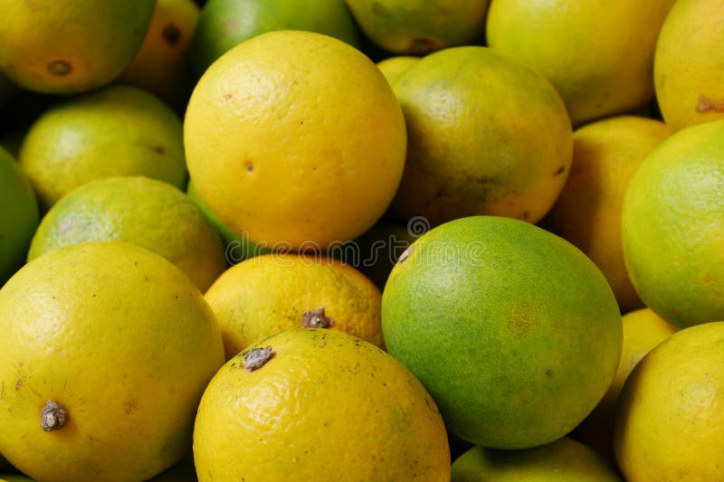 The Fresh Chinese Green Oranges Stock Photo - Image of food, citrus ...