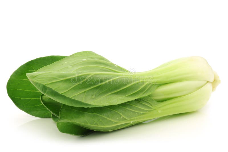 Fresh chinese paksoi stock image. Image of produce, fiber - 25088415