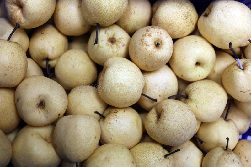 Fresh Chinese pear fruits stock photo. Image of bunch - 47223904